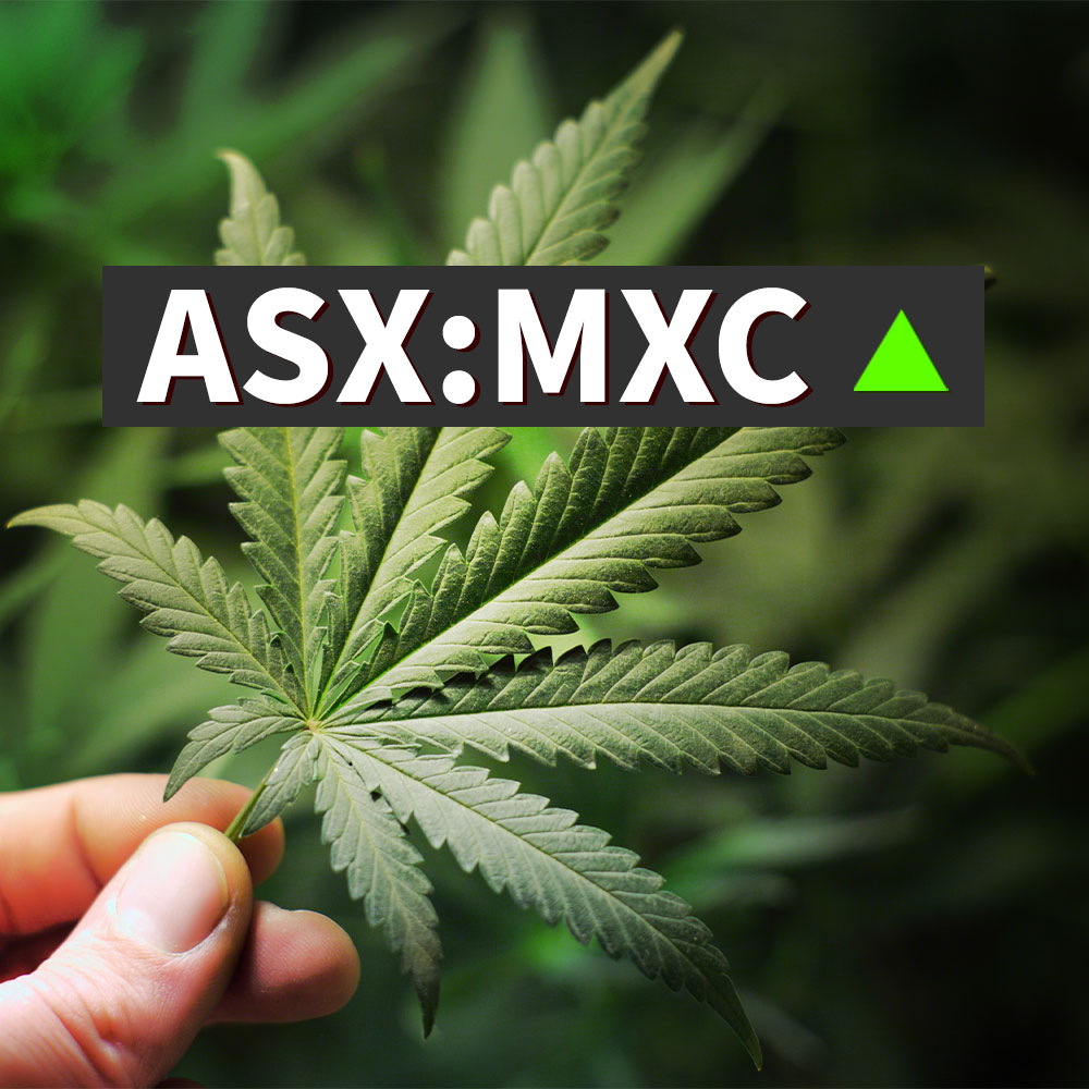 MGC Pharmaceuticals Share Price Up on CannEpil Update (ASX:MXC)